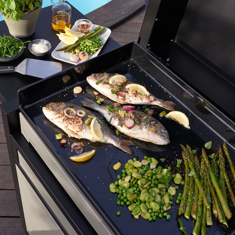 Forge Adour- Planchas au Gaz série Premium